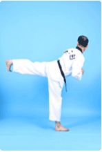 La Tecnica del Taekwondo, Tecniche Taekwondo | Taekwondo Riccione