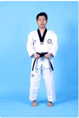 La Tecnica del Taekwondo, Tecniche Taekwondo | Taekwondo Riccione